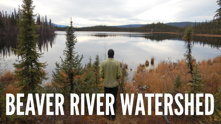 Beaver River Watershed - CPAWS Yukon