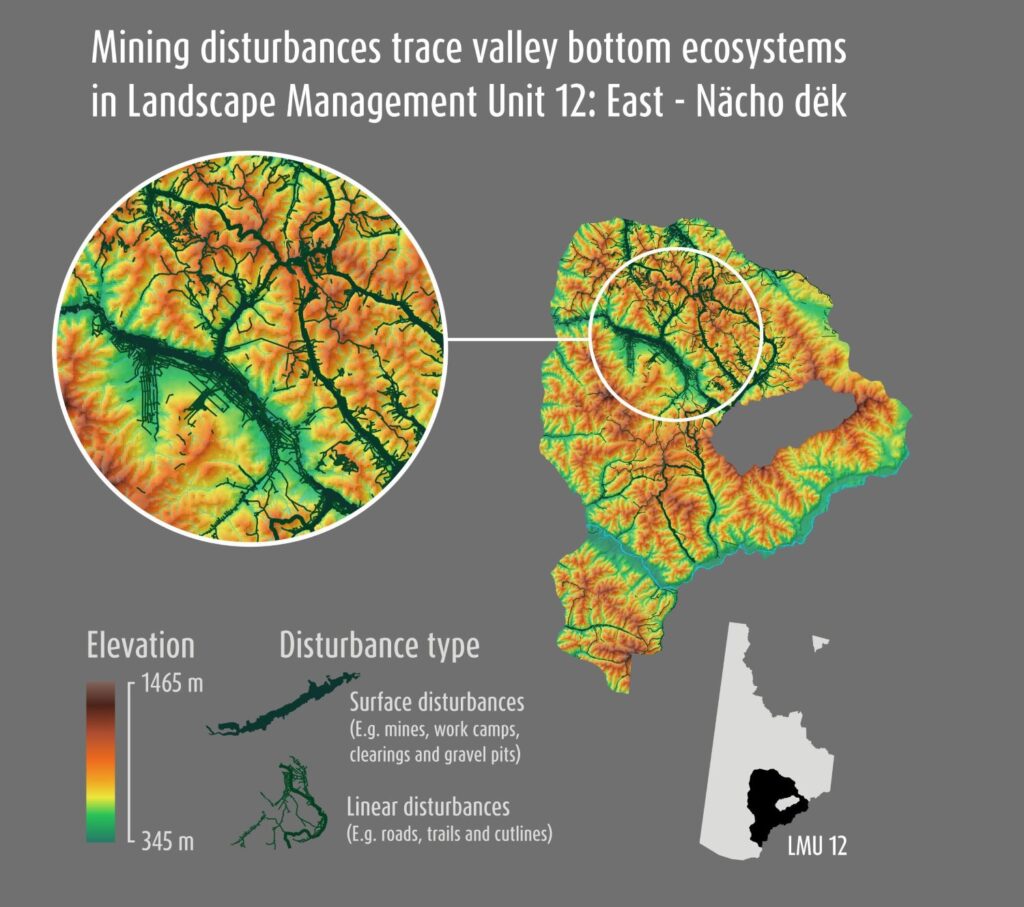 Calculating the future of the Indian River - CPAWS Yukon