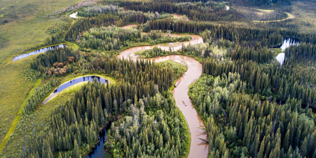 Peat beneath our feet - CPAWS Yukon