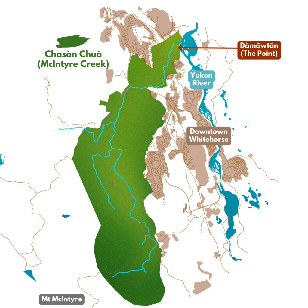 Chasan Chua/McIntyre Creek - CPAWS Yukon